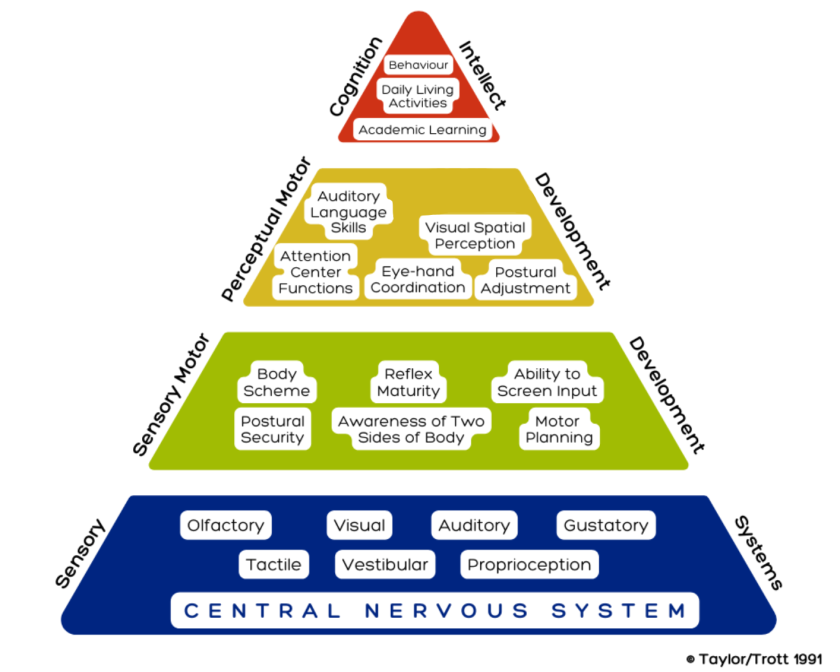 Learning, Behavioural or Sensory Challenges: Taylor & Trott Pyramid of ...
